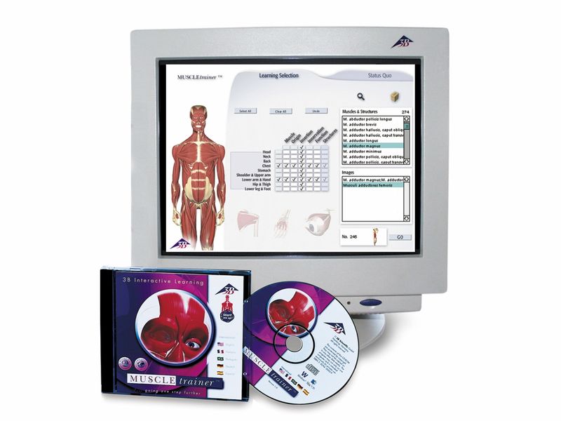 3B MUSCLEtrainer - Software - S0002-1.0 - 3B Scientific | ISP Saúde